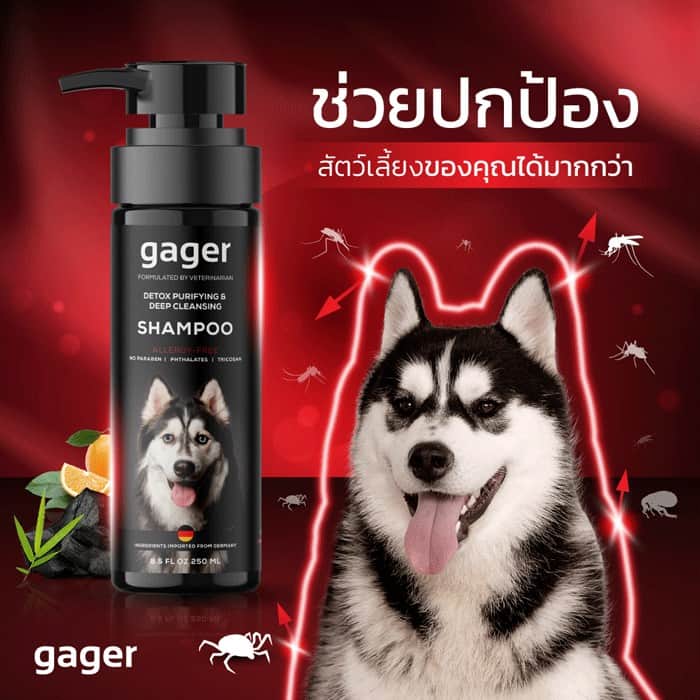 gager premium shampoo for dogs